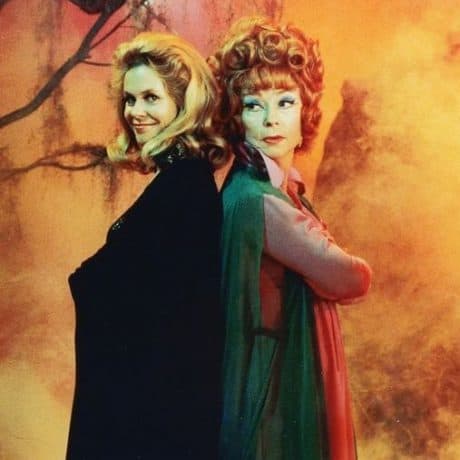 Samantha & Endora - Bewitched adult costume - Snog The Frog