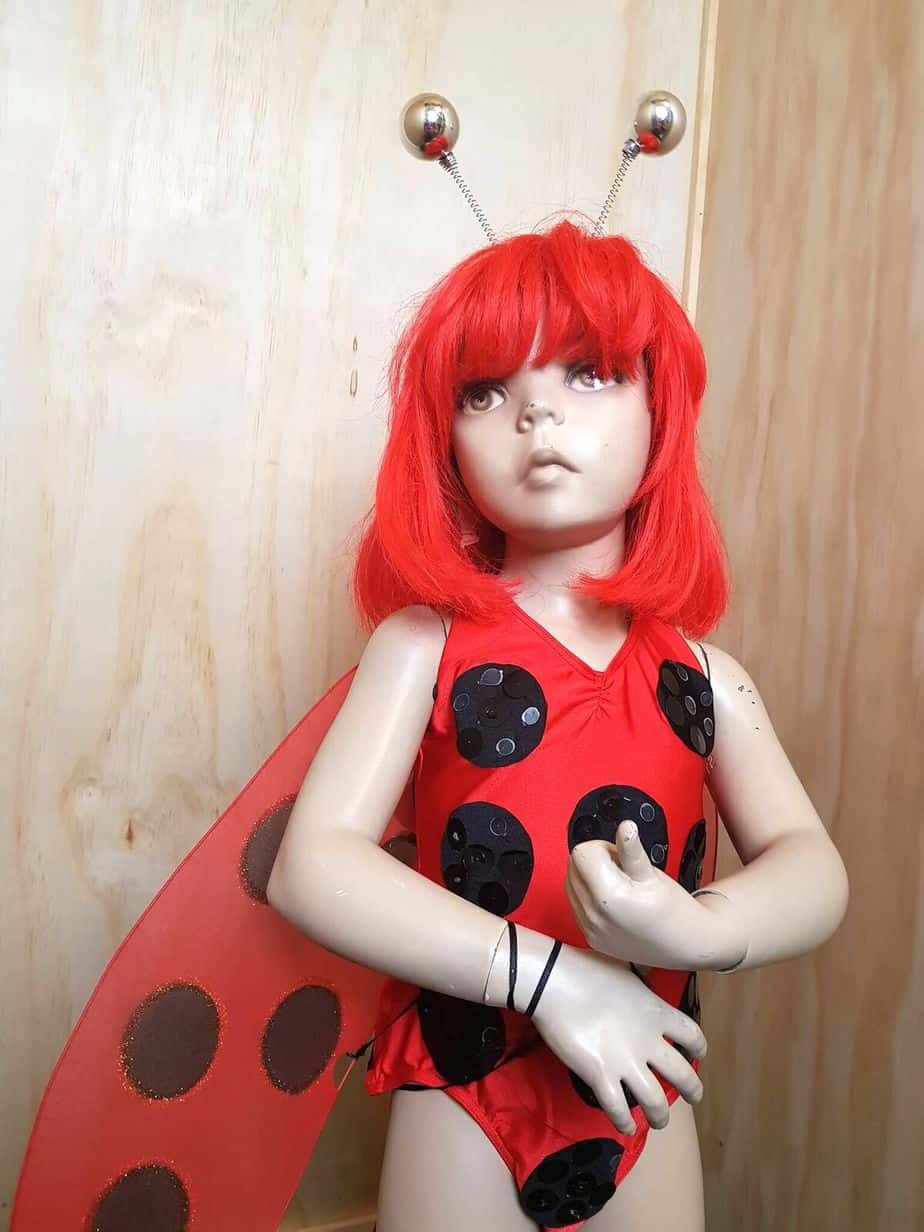 ladybug - Book Week kids costume - Snog The Frog